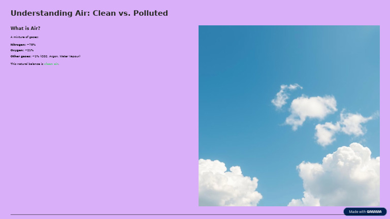 Clean vs. Polluted Air Explained | PDF