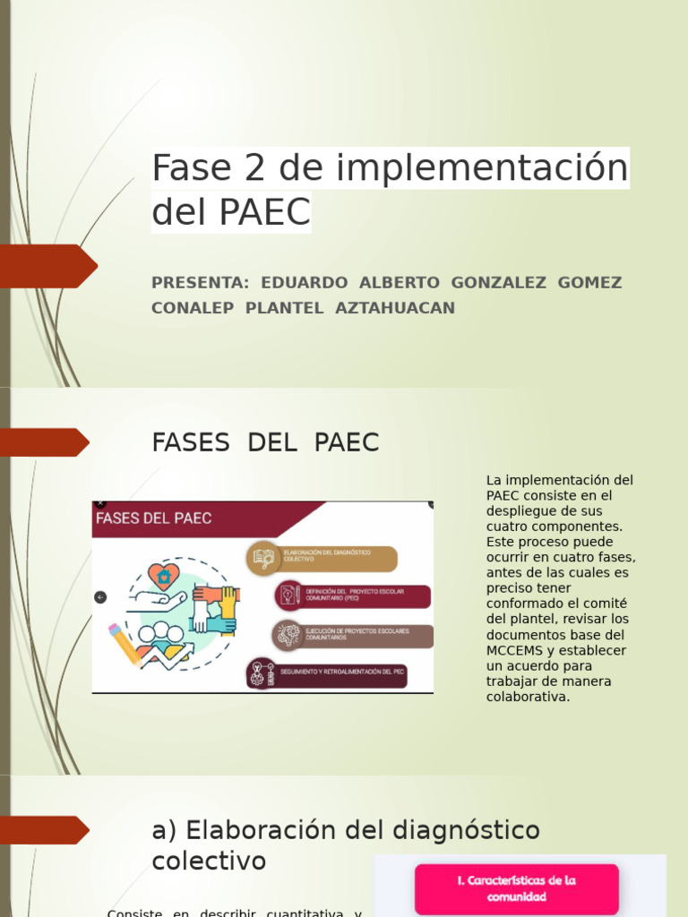 Fase 2 del PAEC y Diseño del PEC | PDF | Enseñando | Plan de estudios