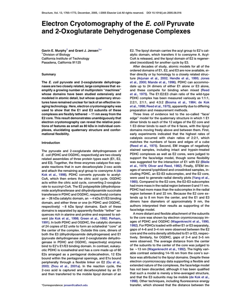 Electron Cryotomography of The E. Coli Pyruvate | PDF | Biochemistry | Chemistry