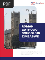 Zim Driving Licence Explained | PDF