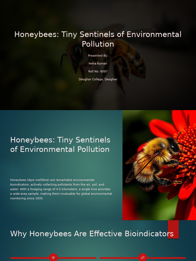 Honeybees Tiny Sentinels of Environmental Pollution | PDF | Honey Bee ...