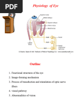 Laramy K OpticianWorks Ultimate ABO Study Guide v6.23 | PDF | Myopia ...
