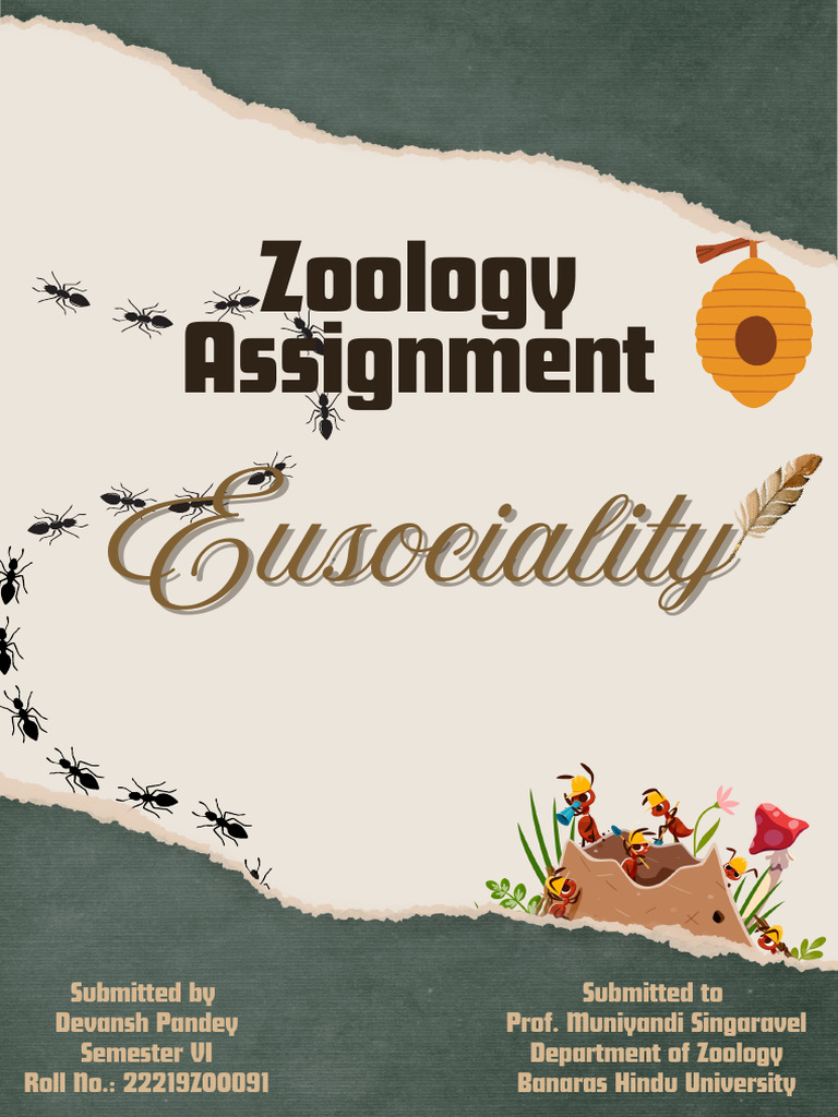 Eusociality Assignment - Devansh Pandey - ZO-037 | PDF