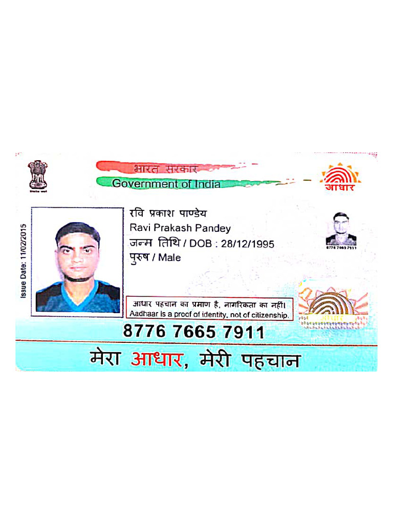 Aadhaar Identity Proof Information | PDF