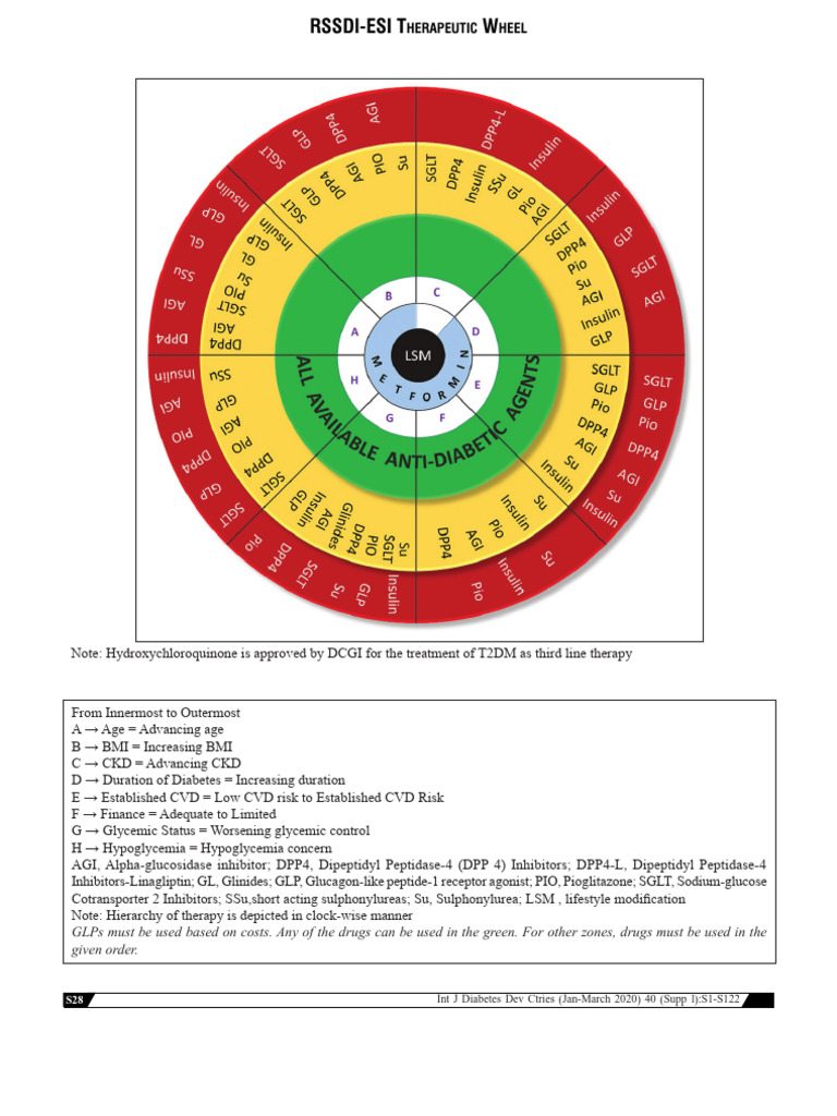 Diabetic Wheel | PDF