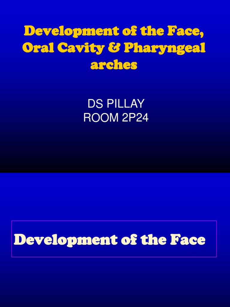 Development of The Face, Oral Cavity & Pharyngeal Arches - PILLAY | PDF ...