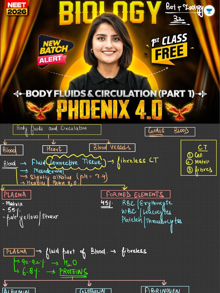 Body Fluids & Circulation L1 | PDF