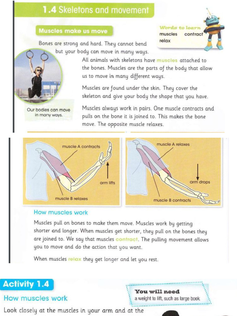 1.2. Skeletons and Movements | PDF