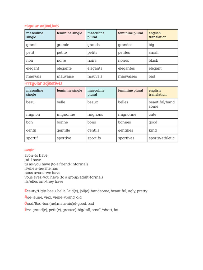 French Regular and Irregular Adjectives | PDF