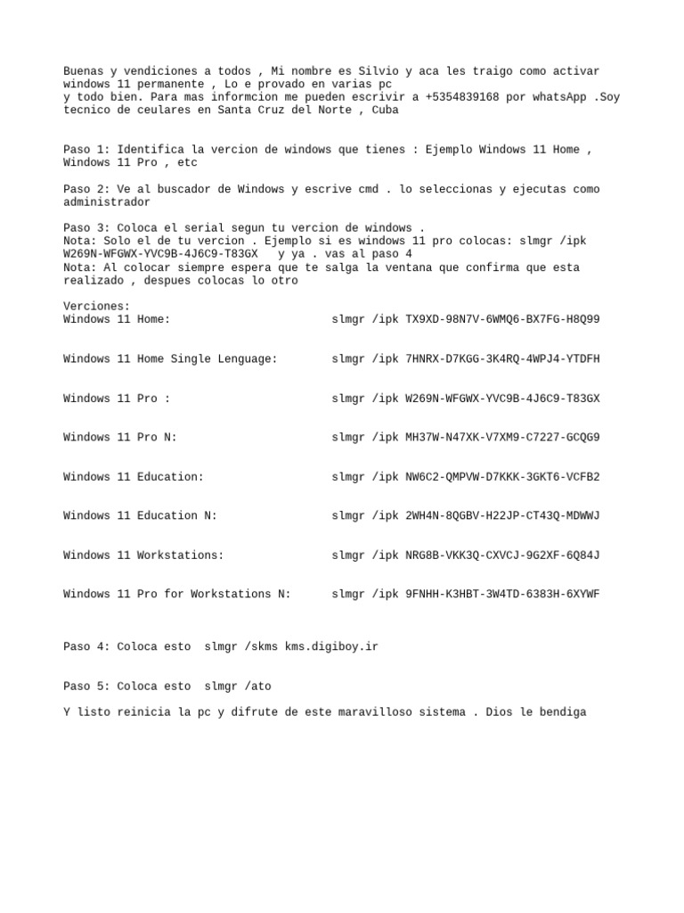 Activador de Windows 11 | PDF