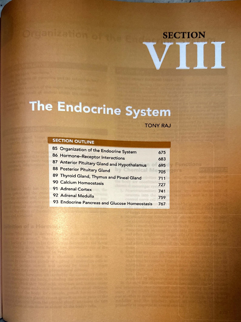 Endocrine System | PDF