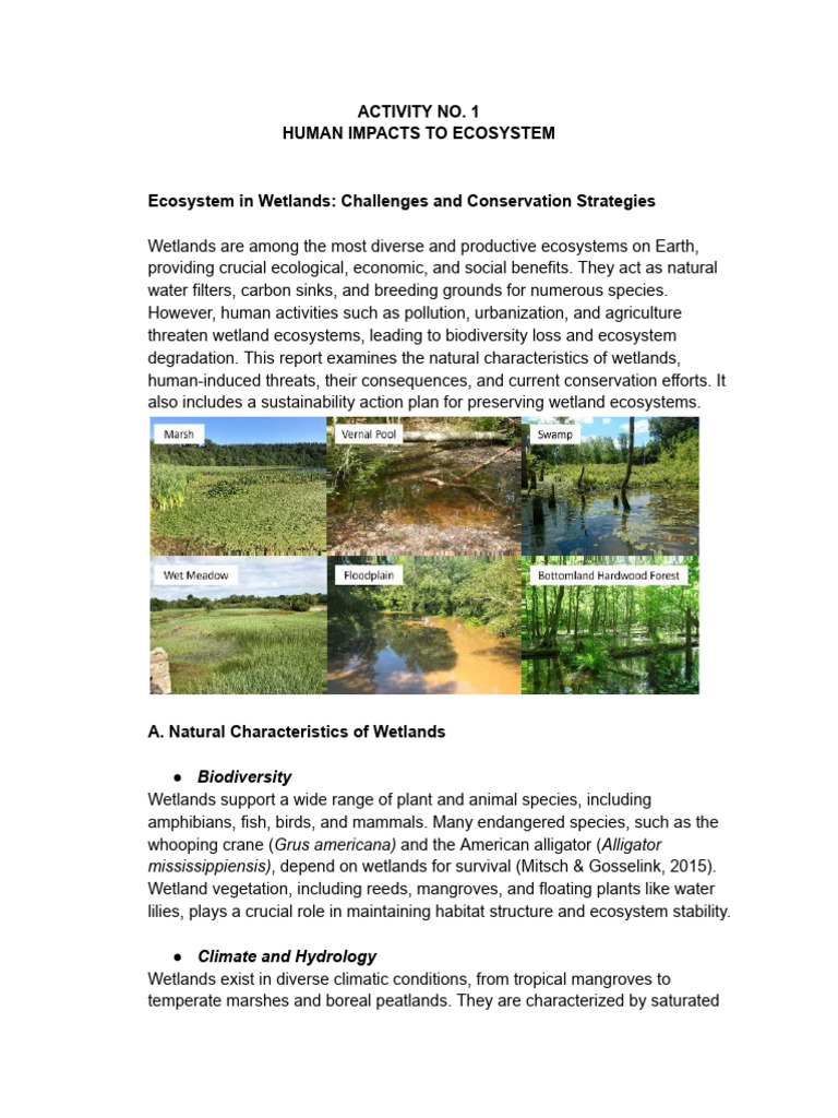 People and Earth Ecosystem (Act.1) | PDF | Wetland | Habitat Destruction