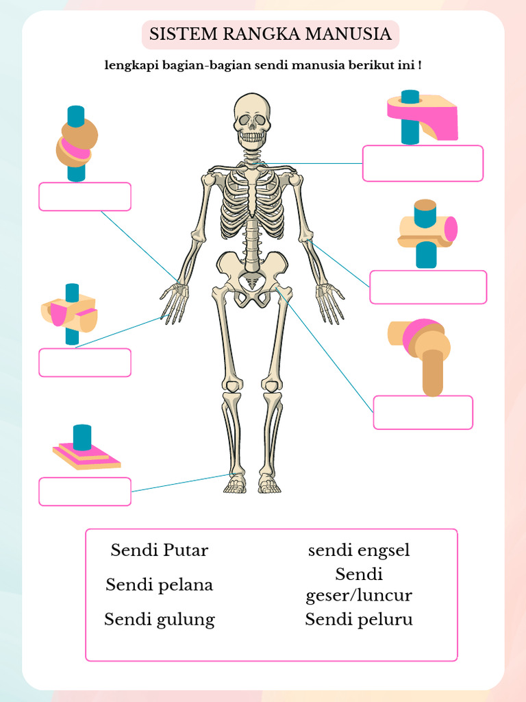 Jenis - Jenisn Sendi - 20250718 - 202136 - 0000 | PDF