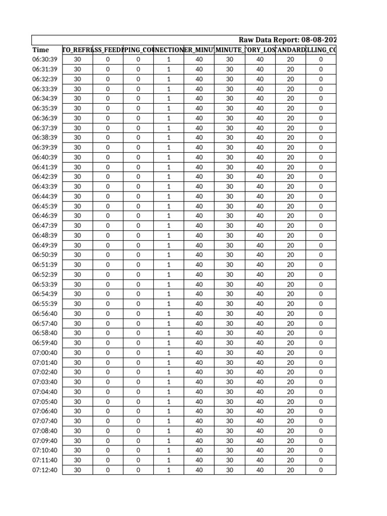 Raw Data Report Summary 08-08-2025 | PDF