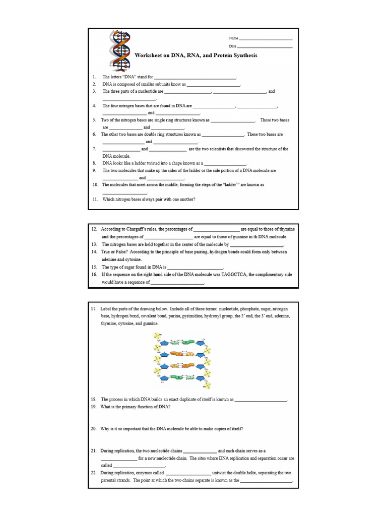 Science Worksheet | PDF
