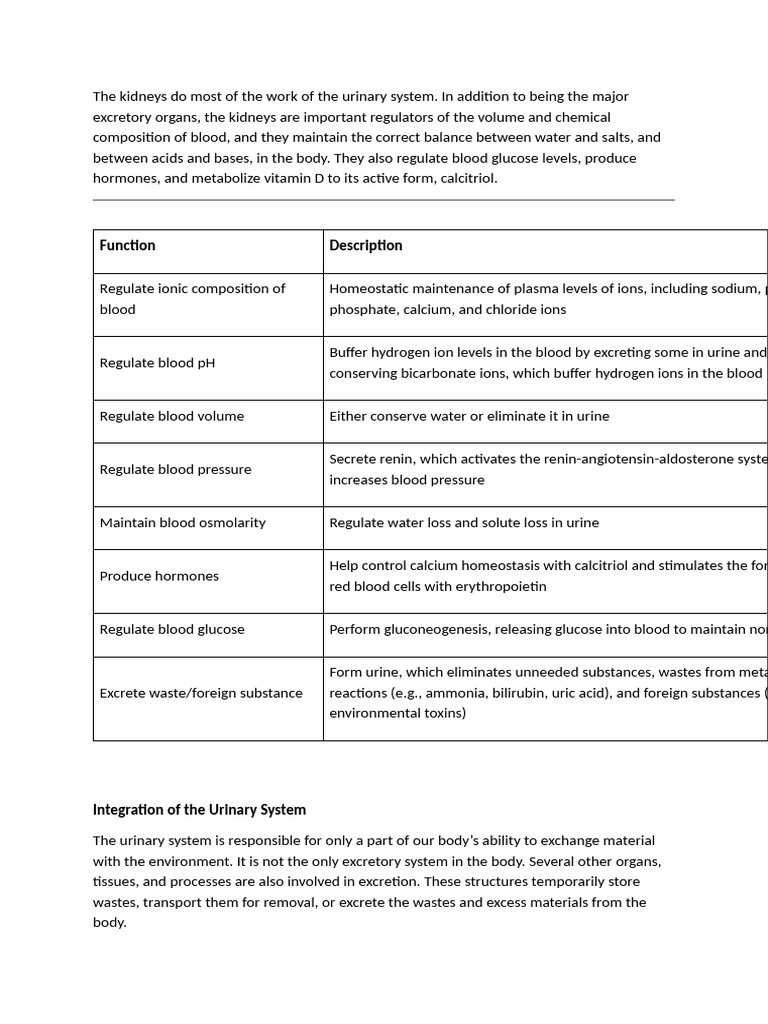 The Kidneys Do Most of The Work of The Urinary System | PDF | Kidney ...