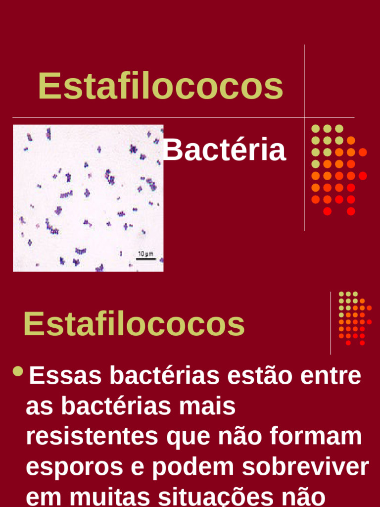 Estafilococos: Características e Doenças | PDF | Estafilococo ...