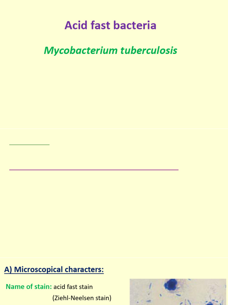 Acid-Fast Bacteria and Neisseria Species | PDF | Mycobacterium ...