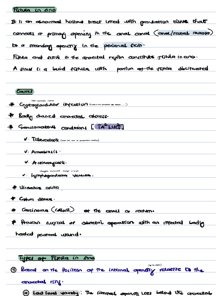 Fistula in Ano or Anorectal Fistula | PDF | Rectum | Medical Specialties