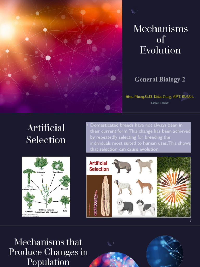 Evolution Mechanisms: Natural Selection & More | PDF