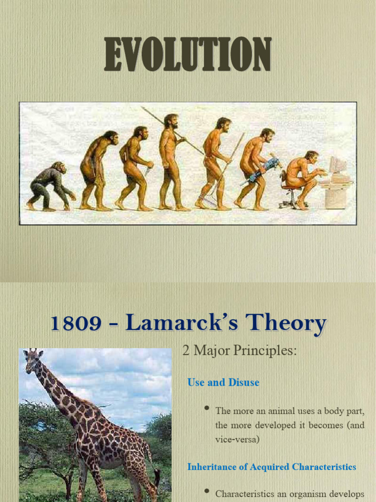Lamarck's Use and Disuse Theory | PDF | Evolution | Heredity