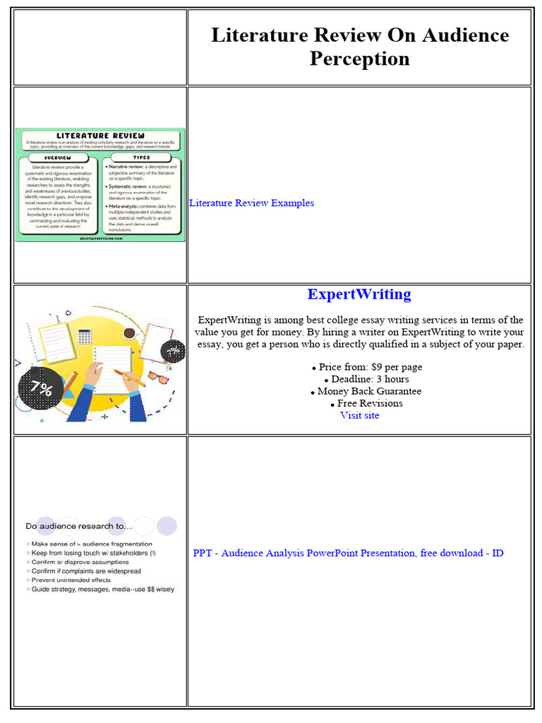 Literature Review On Audience Perception | PDF | Information | Essays