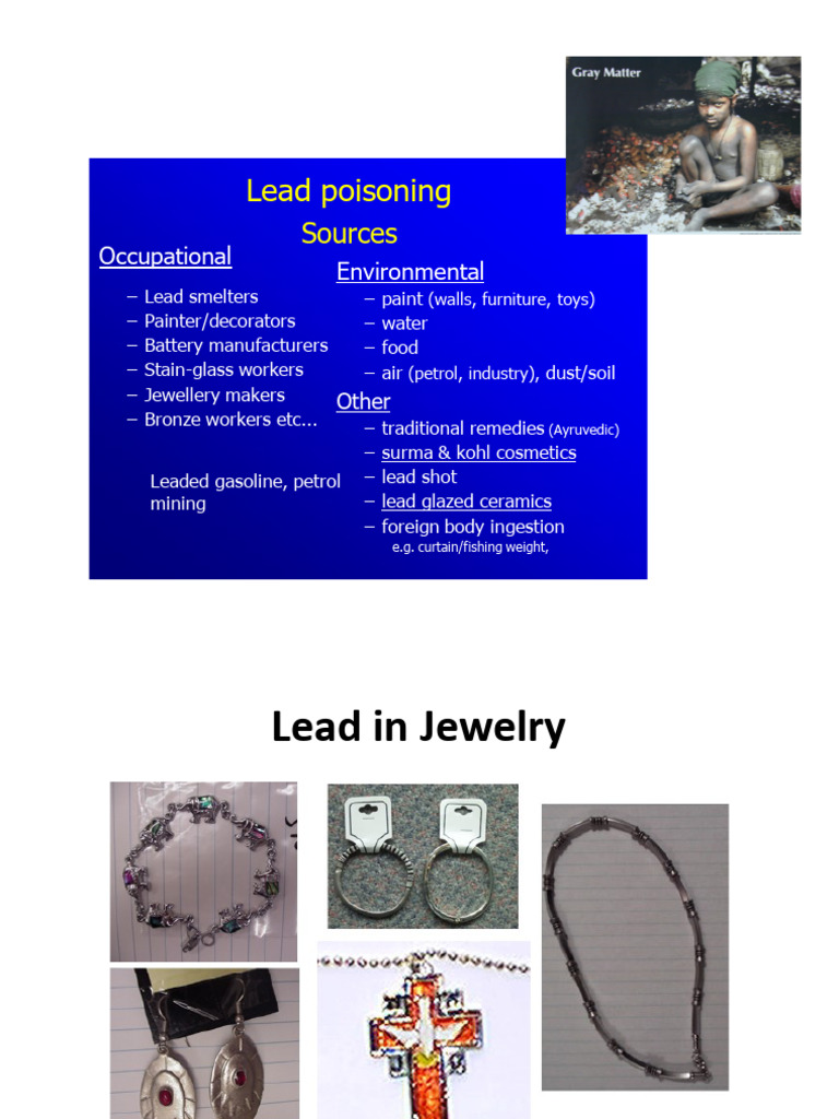 Lead Poisoning Sources and Remediation | PDF