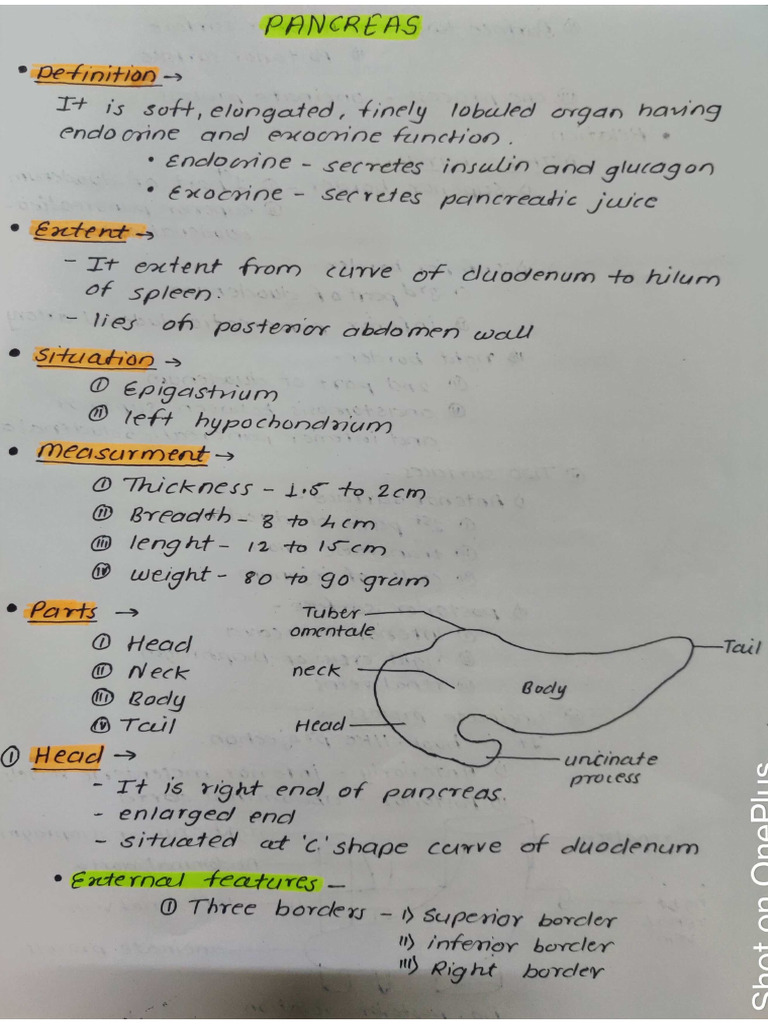 Pancreas LAQ 10 Marks | PDF