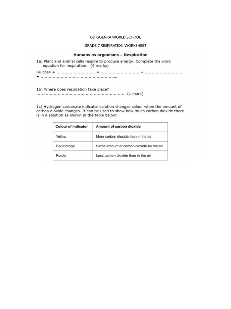 g7 Respiration 1 - April 2025 | PDF