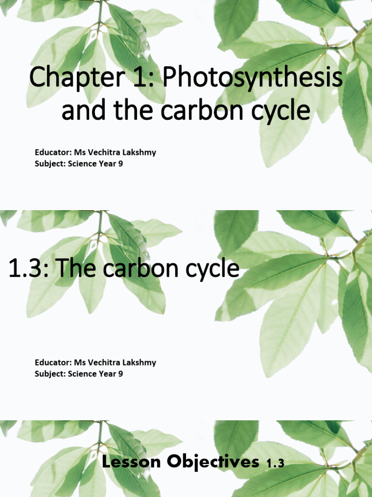 Year 9 - Chapter 1.3 and 1.4 Photosynthesis - 19.56.55 | PDF | Earth ...