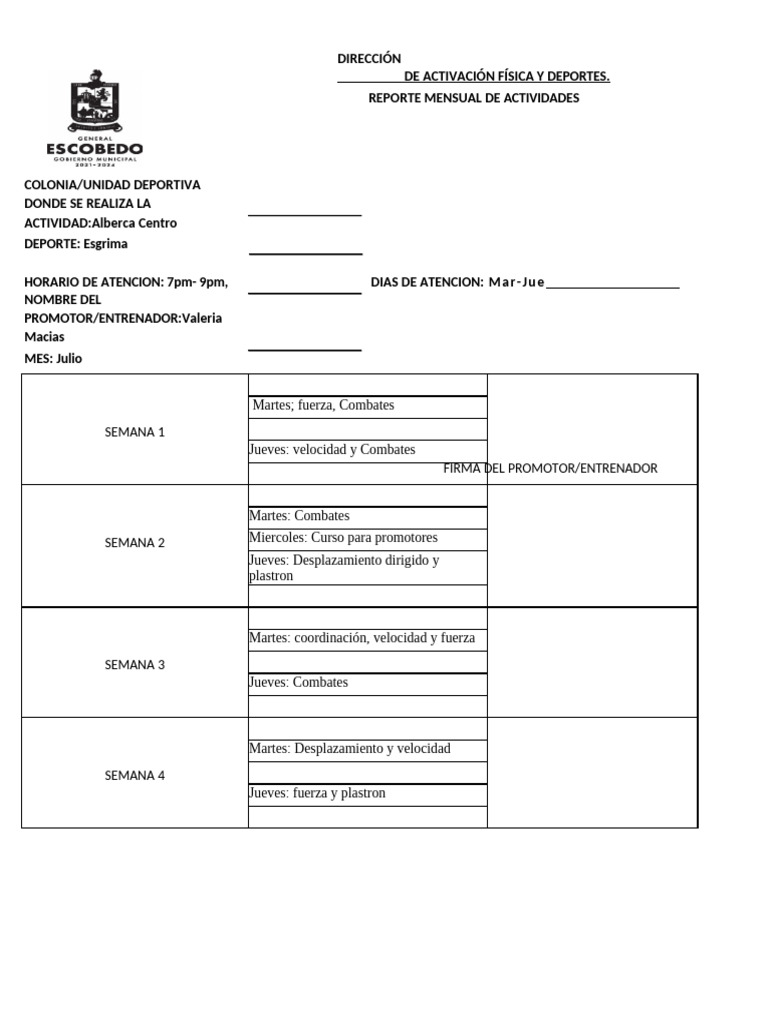 Reporte Mensual de Actividades | PDF