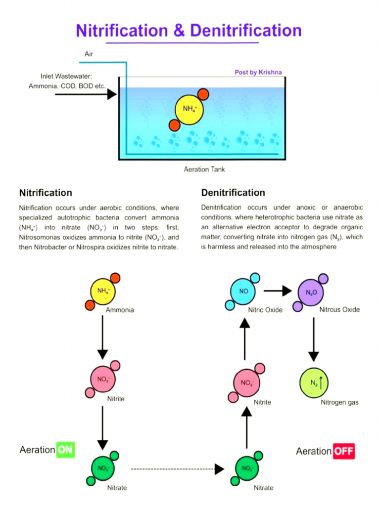 Nitrification | PDF