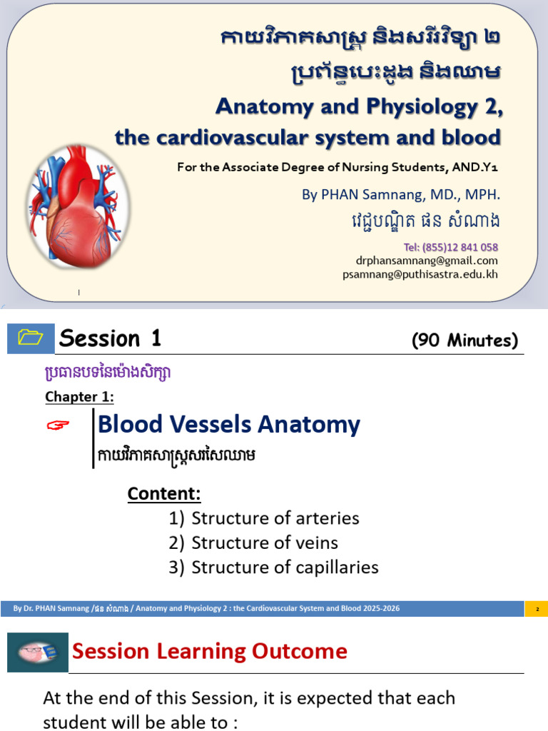 Session 1 - Blood Vessels | PDF | Artery | Vein