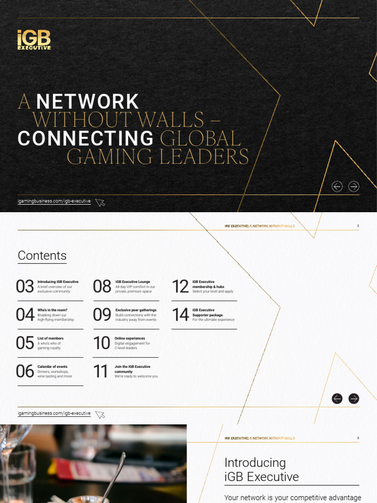 IGB Executive Media Kit | PDF | Startup Company | Small Business ...
