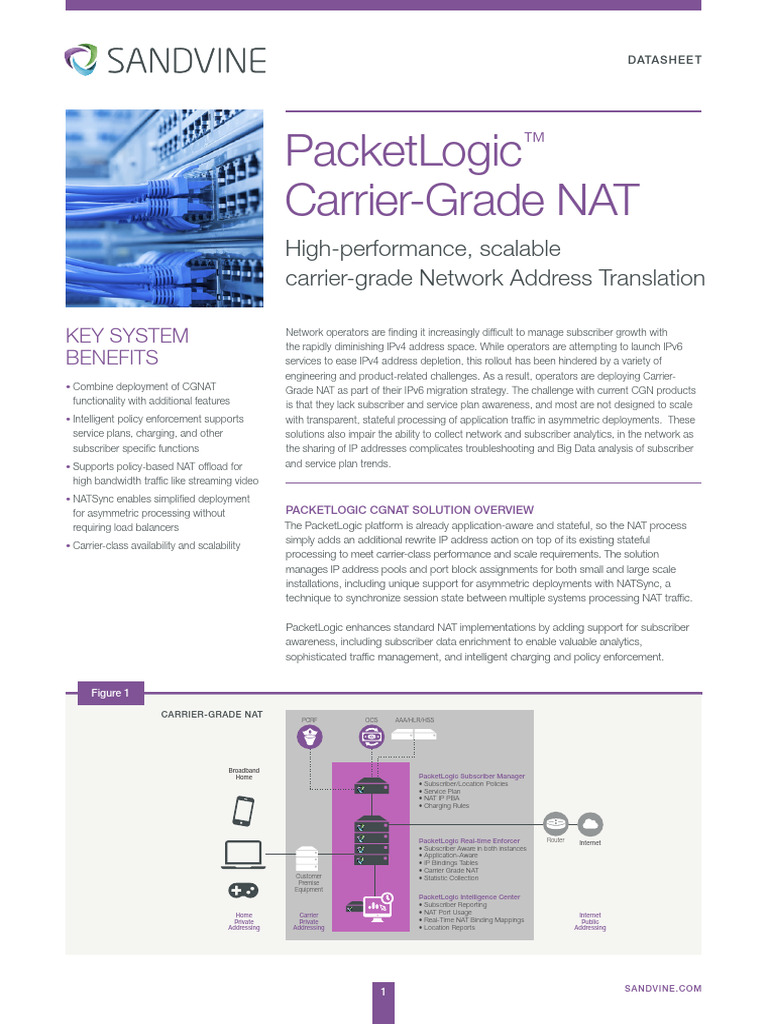Sandvine Ds Carrier Grade Nat | PDF | Ip Address | I Pv6