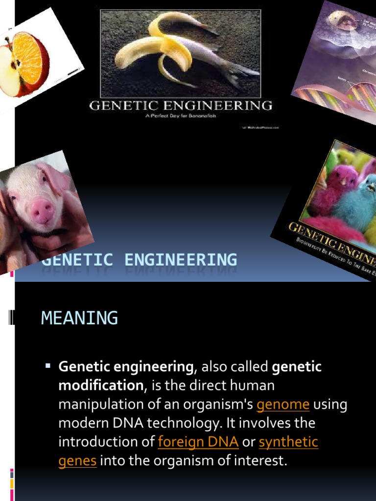 Overview of Genetic Engineering | PDF | Genetic Engineering | Genetics