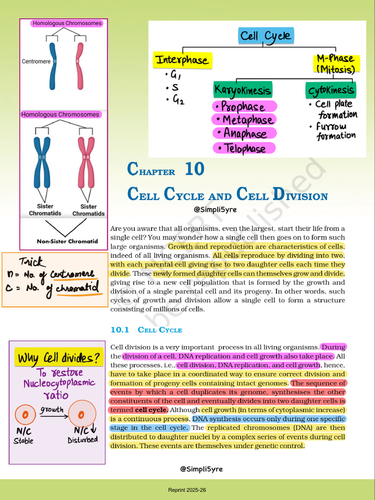 Cell Cycle & Cell Division NCERT Highlights | PDF