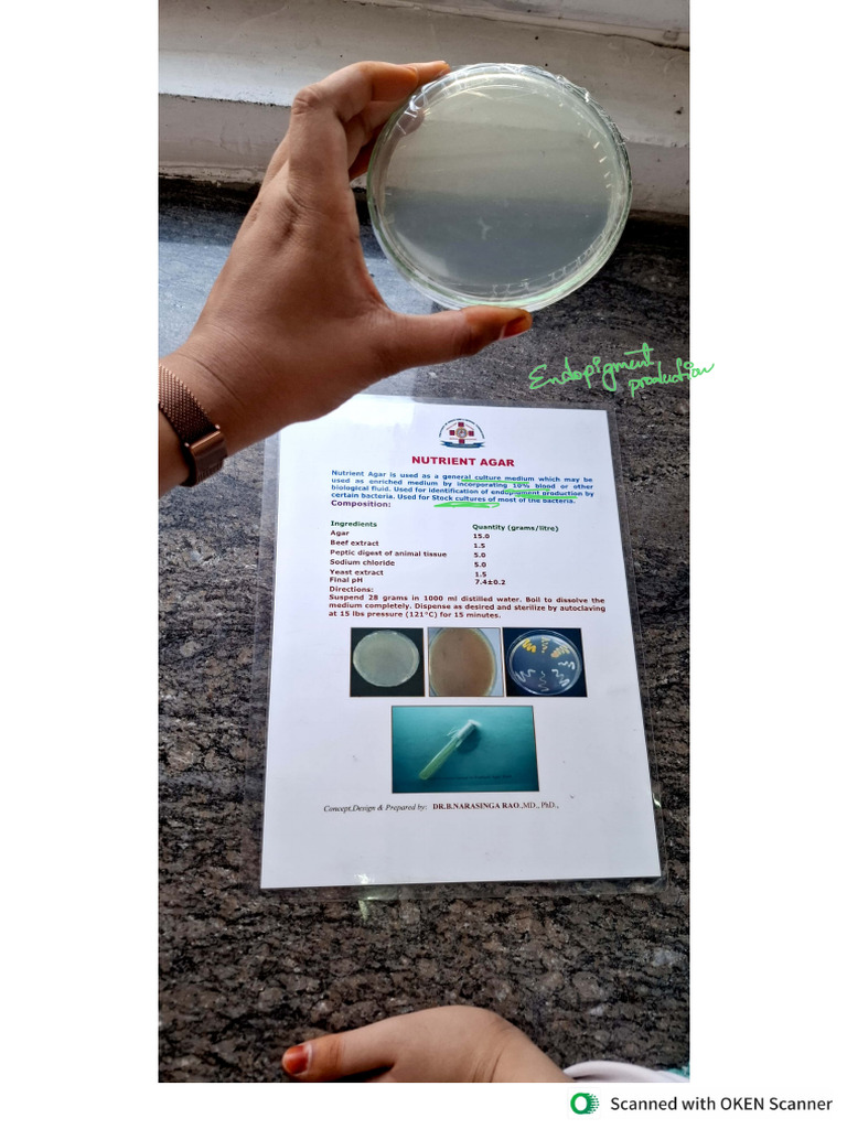 Clinical Charts | PDF