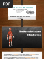 Muscular System Grade 4 Science | PDF | Wellness