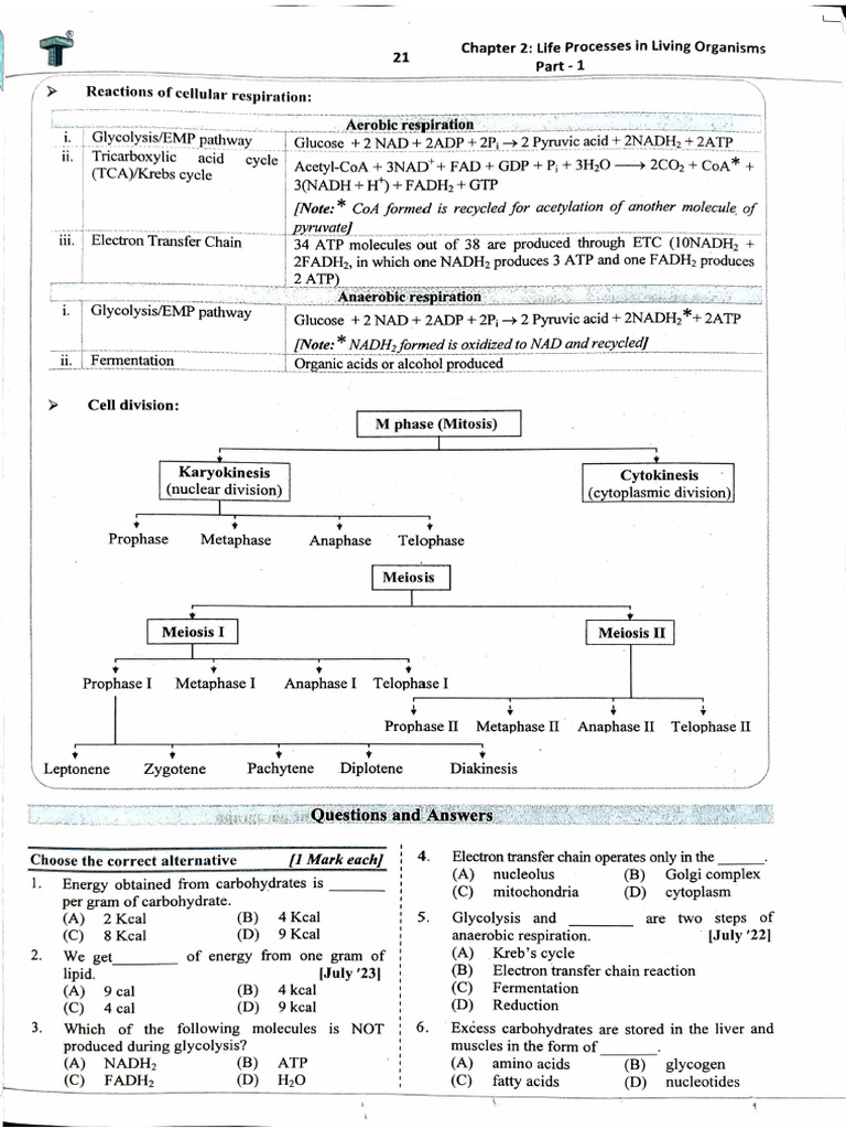 Life Processes in Living Organisms Part-1 | PDF
