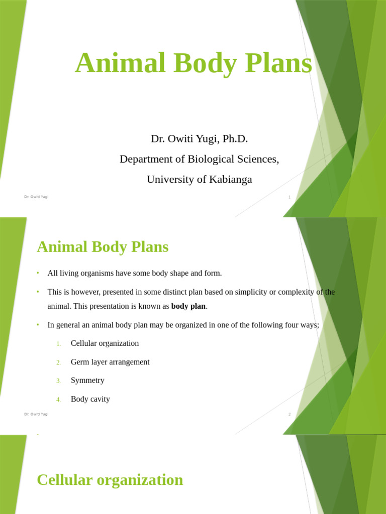 Levels of Animal Body Organization | PDF | Anatomical Terms Of Location ...