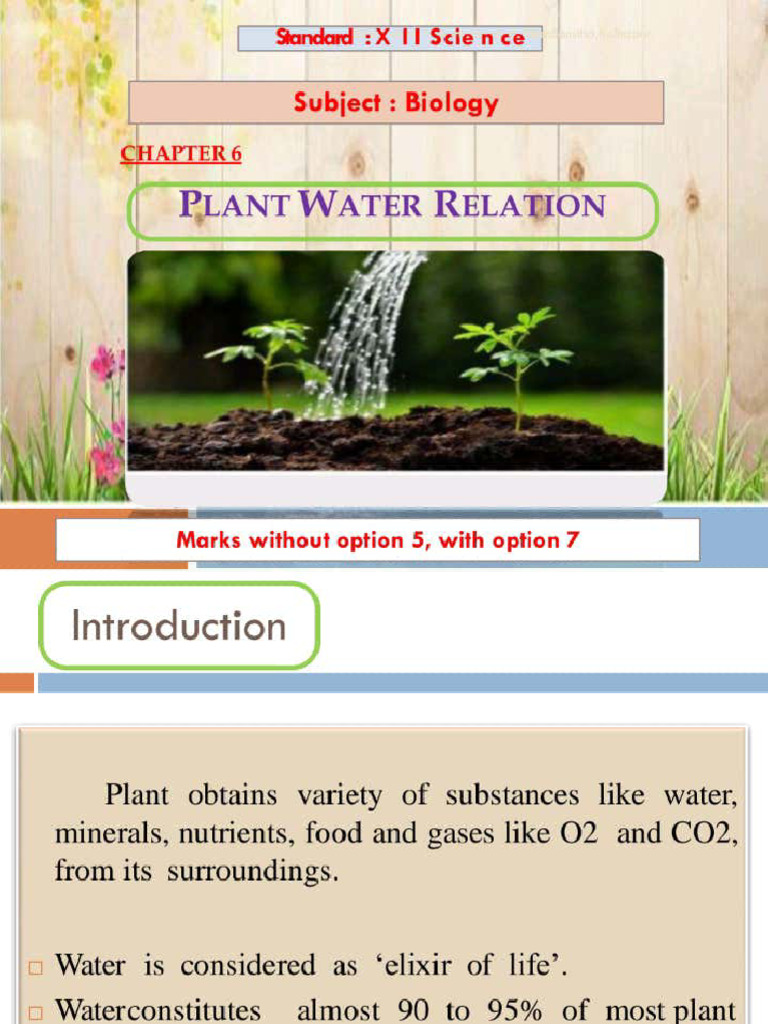 Plant Water Relation | PDF