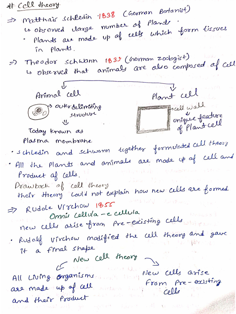Cell Theory Notes Botany | PDF