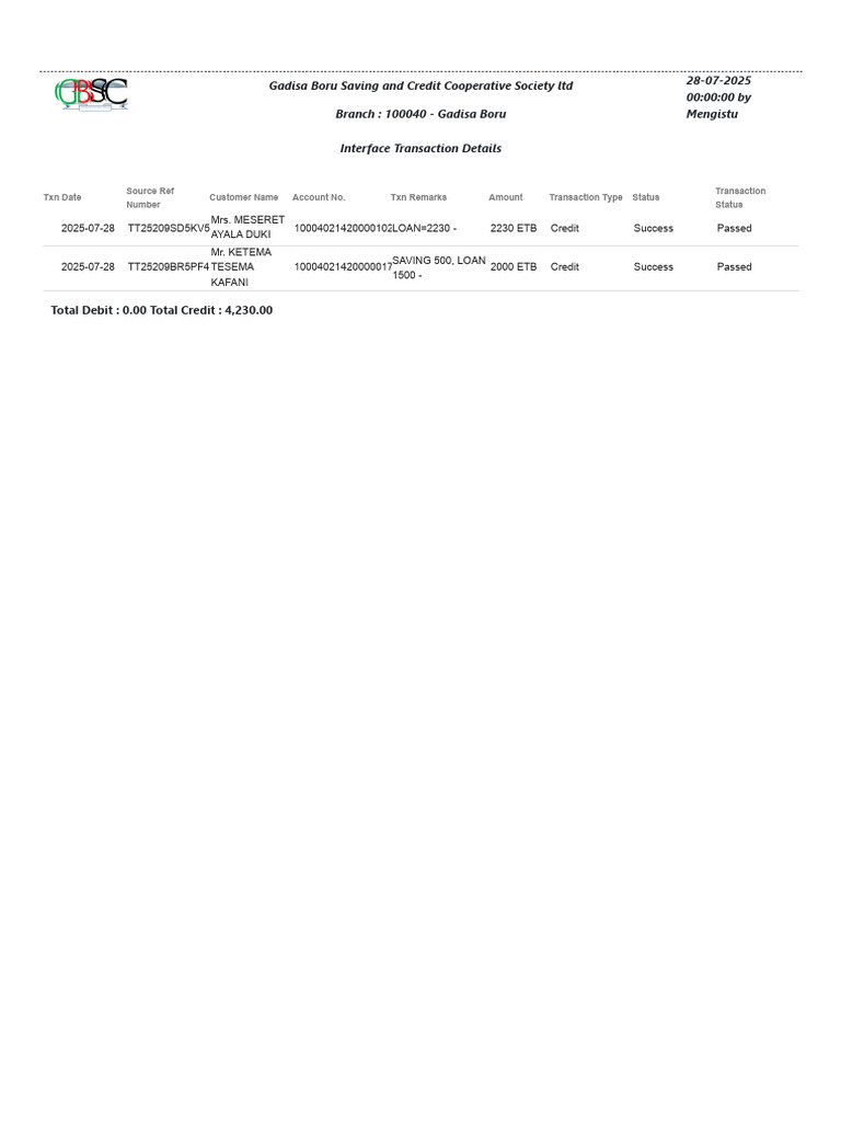 Gadisa Boru Cooperative Transaction Summary | PDF