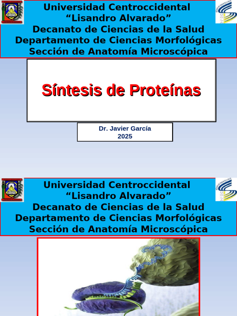 Síntesis de Proteínas: Procariontes y Eucariontes | PDF | Estructura ...