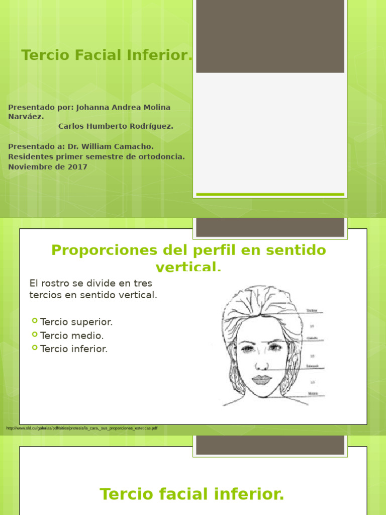 Anatomía y Función del Tercio Facial Inferior | PDF | Cabeza y cuello ...