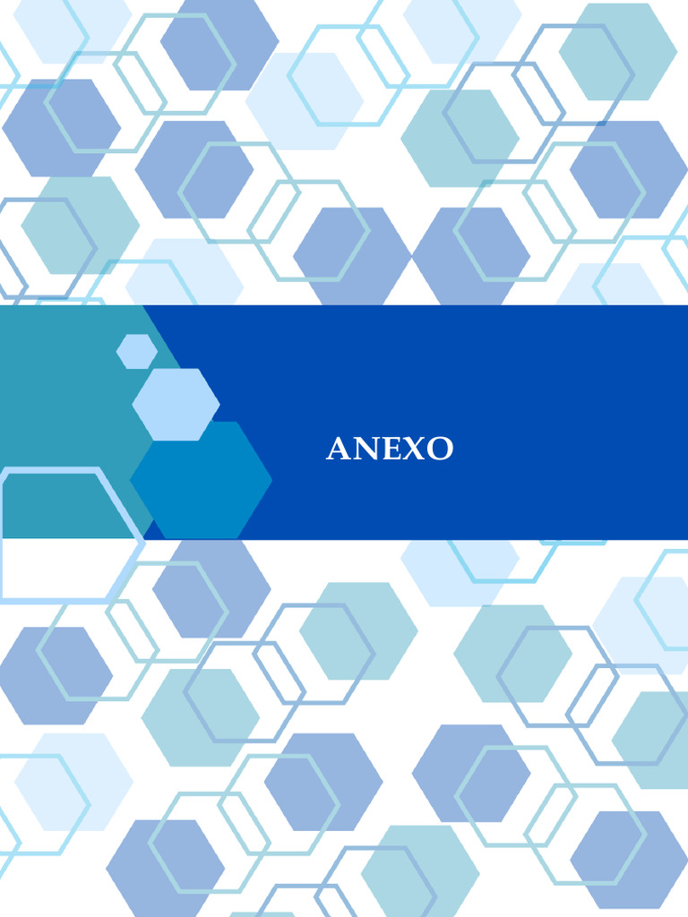 ANEXO | PDF