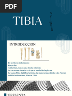 Tibia y Peroné (Fibula) | PDF | Sistema esquelético | Anatomía humana