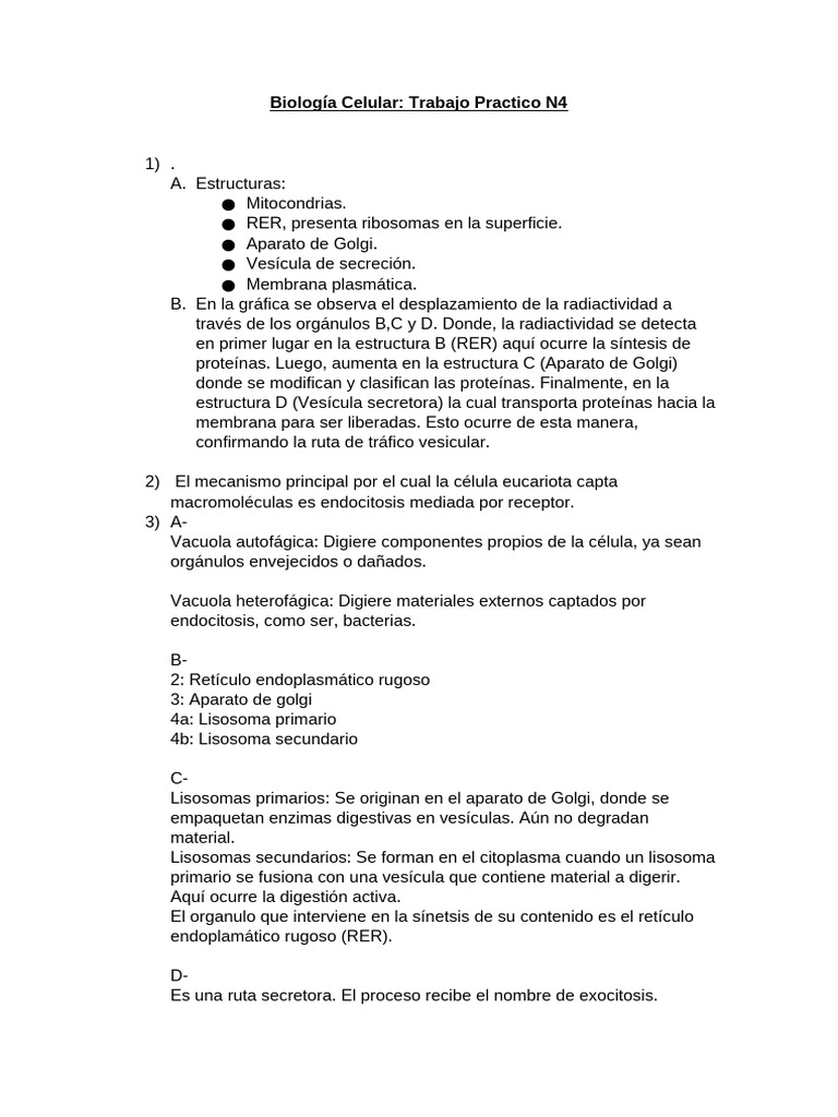Ruta de tráfico vesicular en células | PDF | Lisosoma | Retículo ...