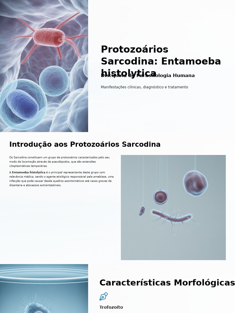Protozoarios Sarcodina Entamoeba Histolytica | PDF | Doenças e ...